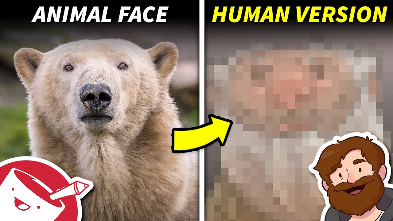 Using Animal Face Proportions to Make HUMAN Faces - YouTube