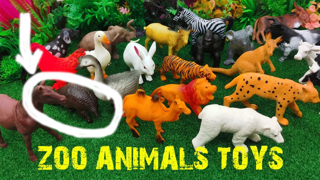 #26 Learn to Know The Names of Animals in Zoos, Zoo Animals Toys, Wild ...