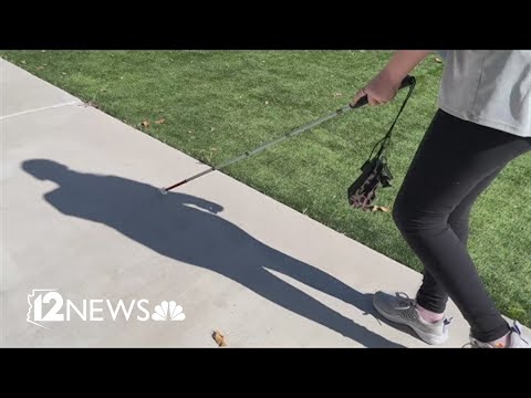'Cane Quest' teaches kids mobility skills - YouTube