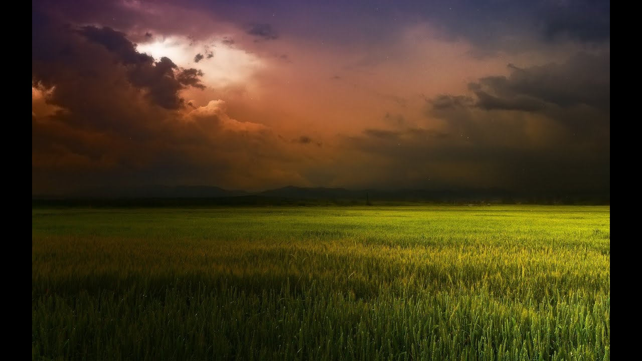 Dream Field. Relaxing field sounds with some thunder storms off in the ...