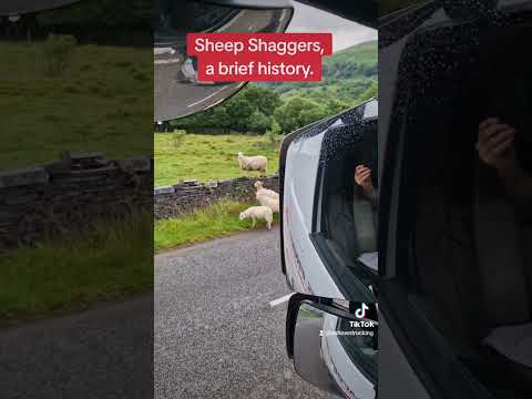 Sheep shaggers, a brief history, and some beautiful scenery. - YouTube