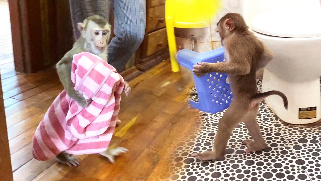 Towel & Chair Are The Top Two Accessory For Judee Bathinq - YouTube