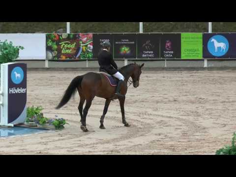Bandisa (Balou du Rouet) Venta-Arena 2017
