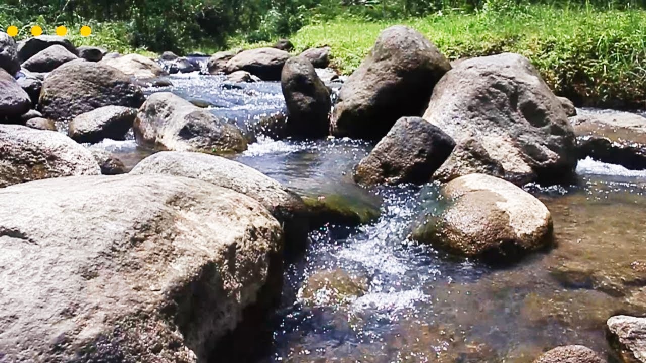 Calm Water Stream Sounds for Mind Relaxation, Meditation, Stress Relief ...