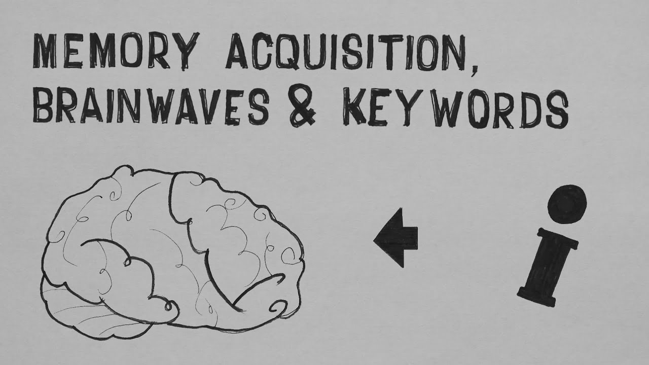 Memory acquisition, brainwaves and key words - YouTube