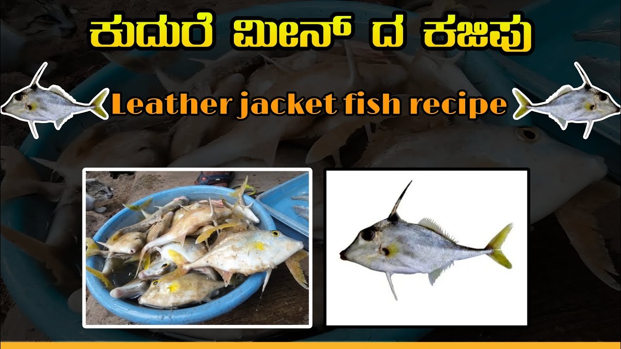 Perfect Leather Jacket Fish Recipe | Easy and Delicious! - YouTube