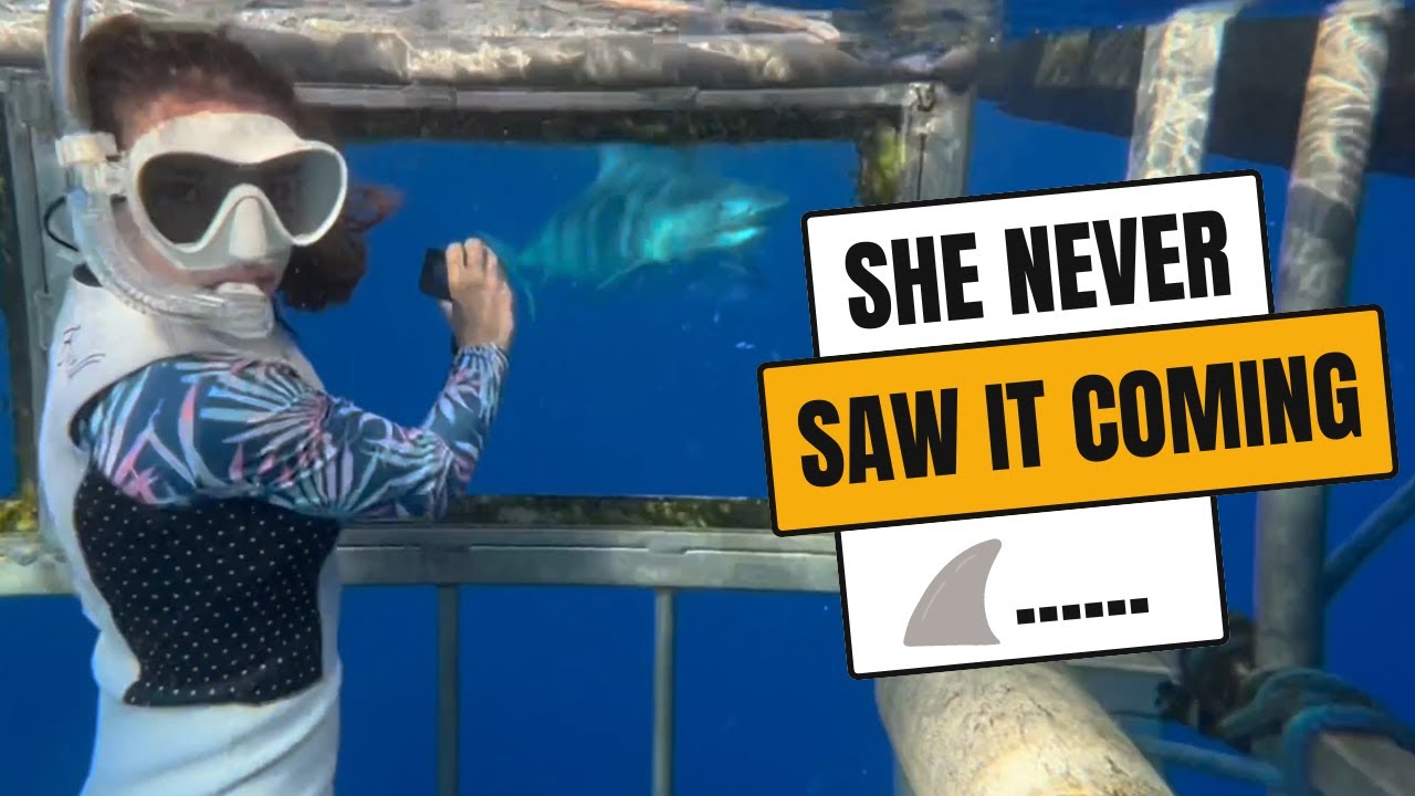 EXTREME Wedding Proposal Shark Cage Proposal to my Wife - YouTube