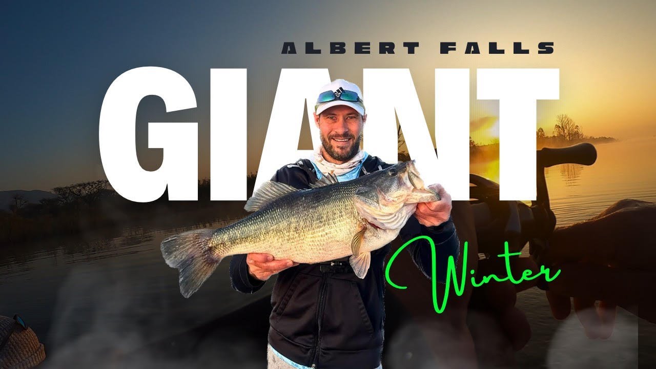 Smashing GIANT BASS during WINTER at Albert Falls Dam, South Africa ...