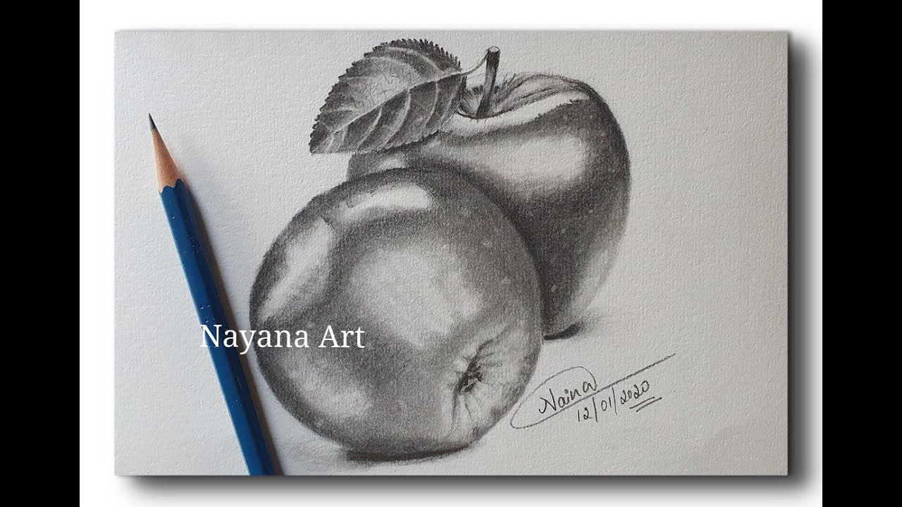 How to Draw Realistic Apples | Sketching of Apples for Beginners - YouTube