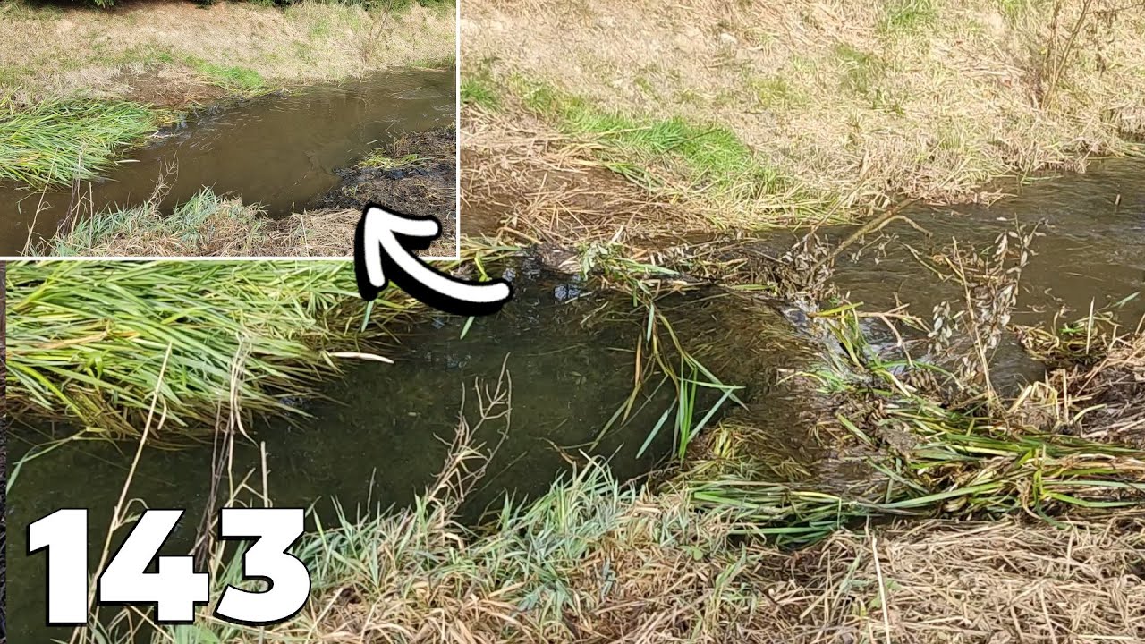 Manual Beaver Dam Removal No.43 - Second Camera - YouTube