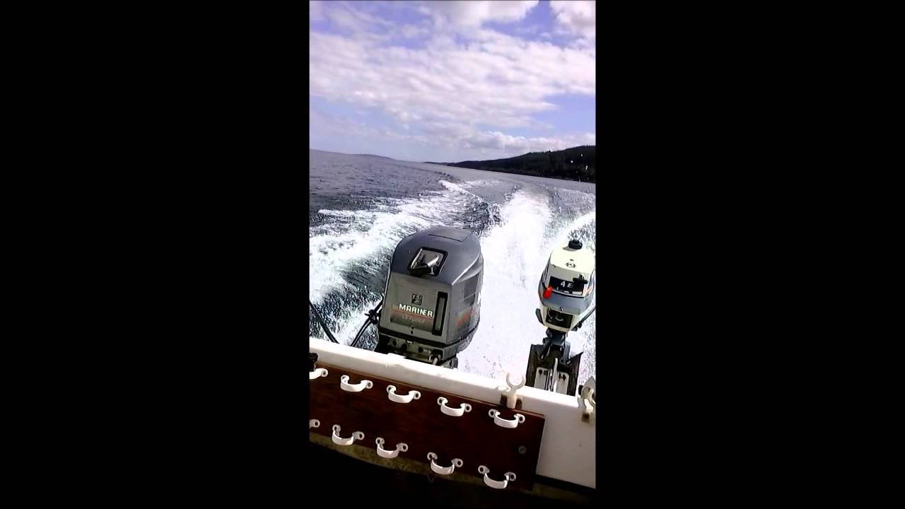 seahog hunter - YouTube