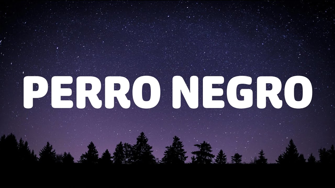 Bad Bunny x Feid - PERRO NEGRO (Letra/Lyrics) - YouTube
