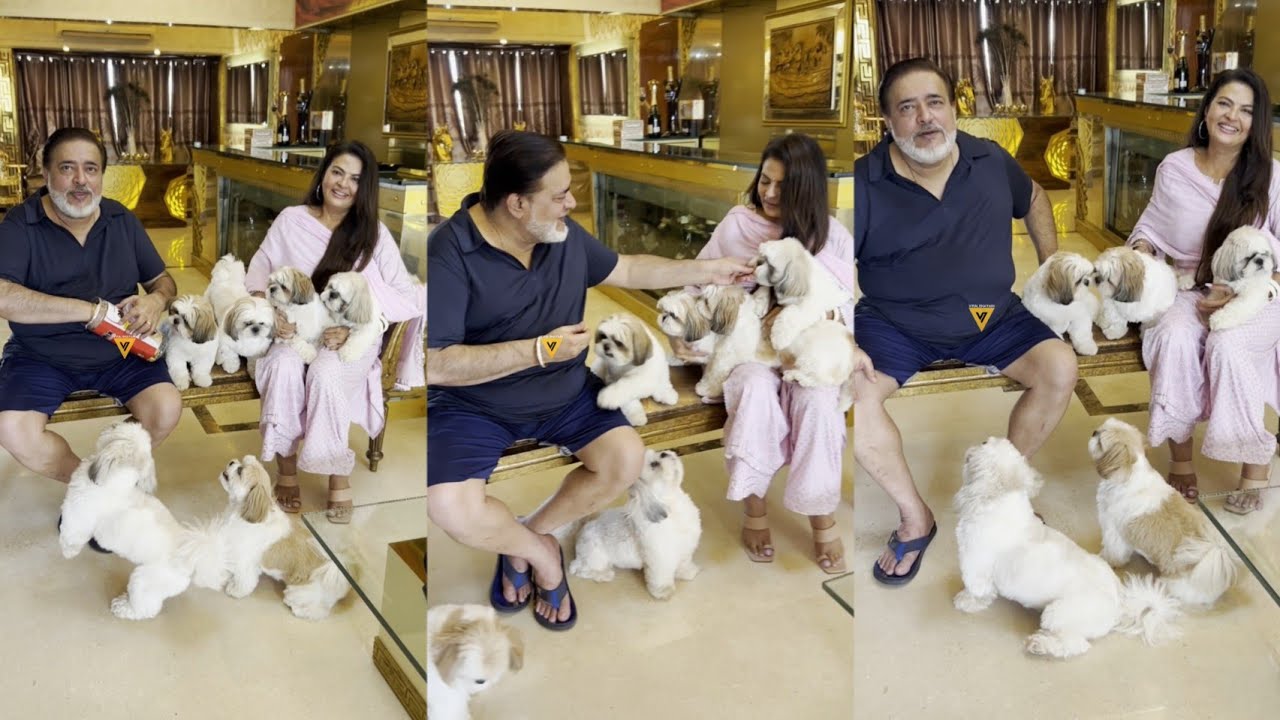 Visuals From Sheeba Akshadeep House With her 9 Pet 🐕 Dog's 🤩📸 - YouTube