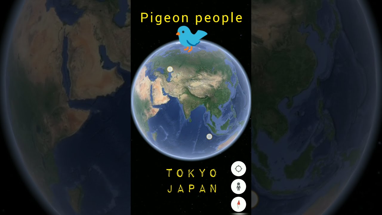 Pigeon People Coordinates