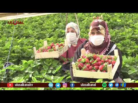 Emekçiler 1 Mayıs'ta alanda değil mesaideydi