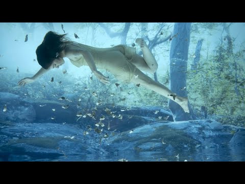 NAK6477TAM30 YOUTUBE