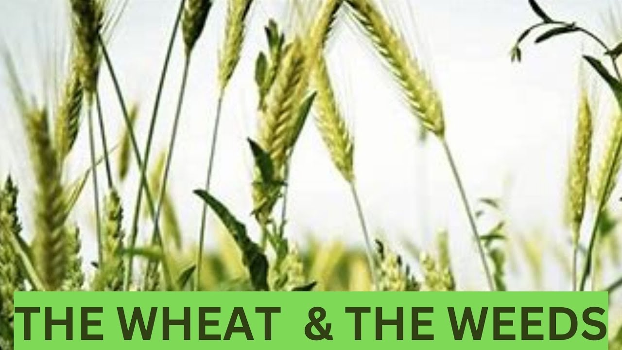 House of Victory | Sunday Worship Service |3-10-24 (The Wheat & The ...