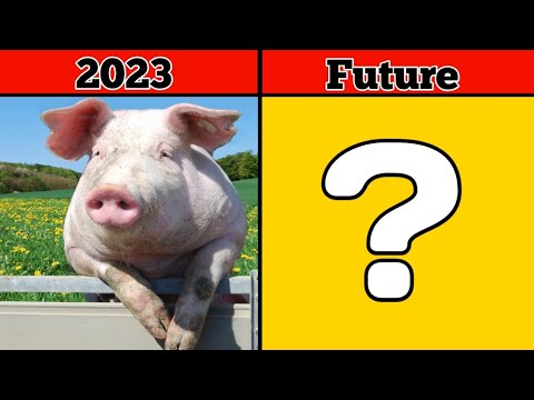 Future World || Pig In 2023 VS Pig In 5000 🐖 #future #animal - YouTube