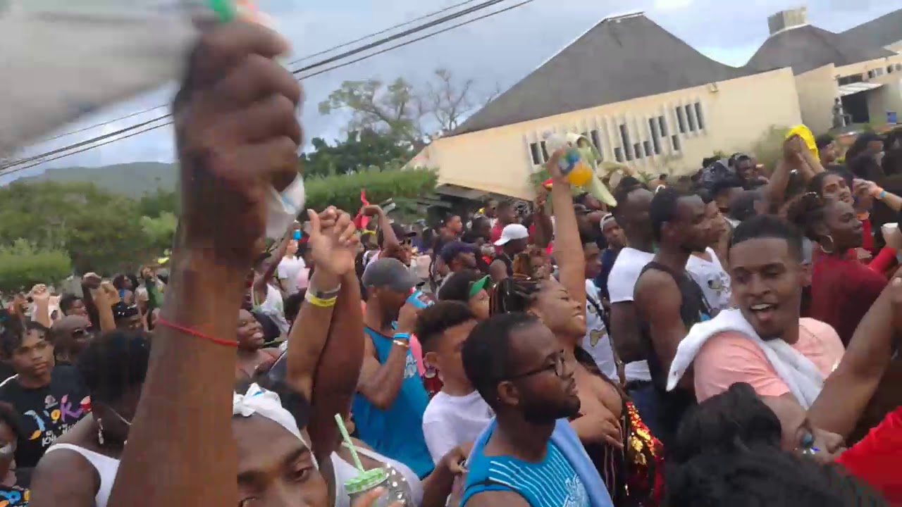 Uwi carnival 2019 Ring road famalay wray nephew truck - YouTube