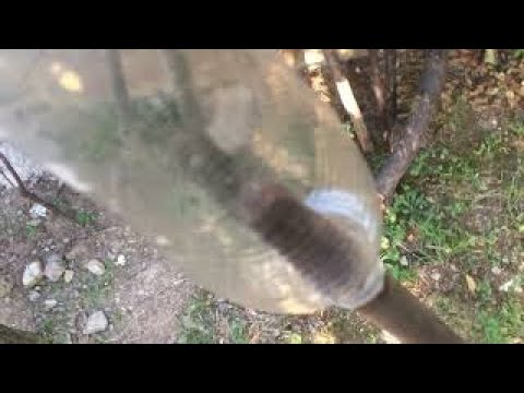 Pet şişeden meyve toplama aparatı; fruit harvest equipment from a pet