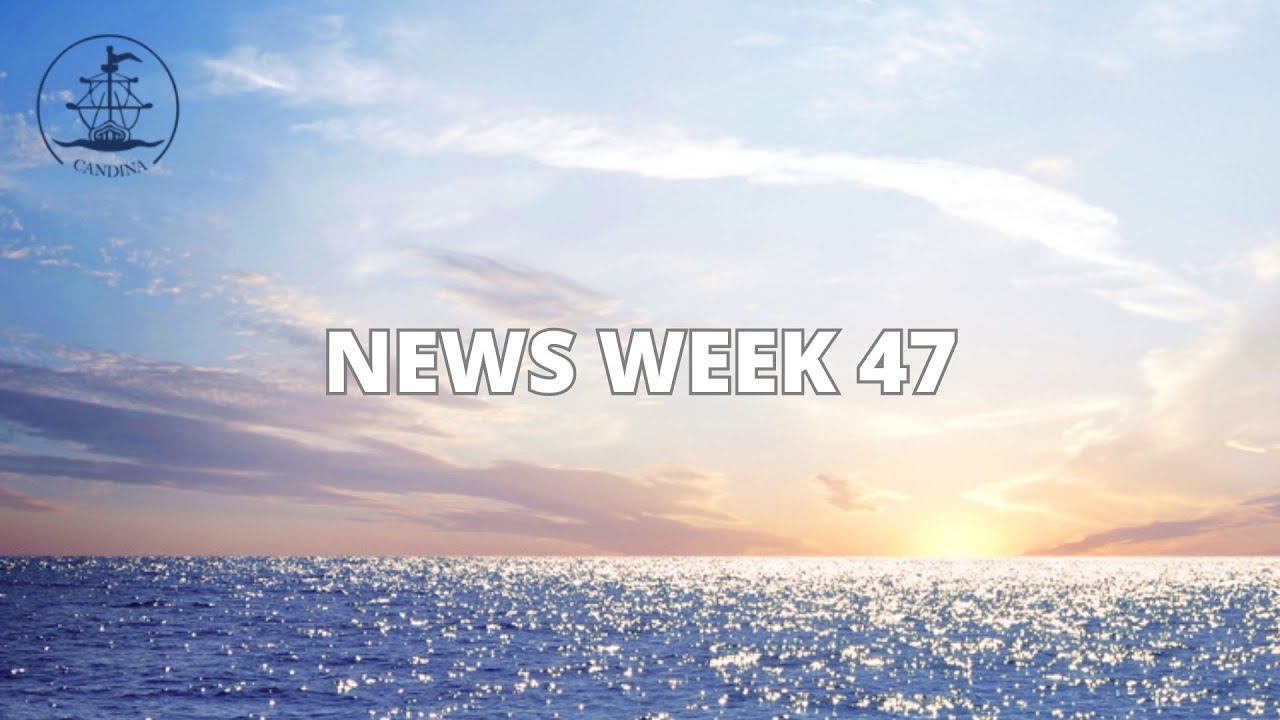 NEWS WEEK 47 - YouTube