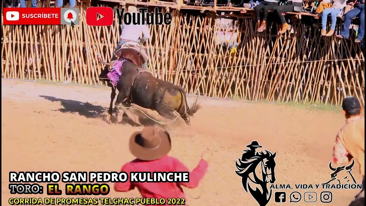 RANGO VS DANI LOPEZ CORRIDA DE PROMESAS TELCHAC PUEBLO - YouTube