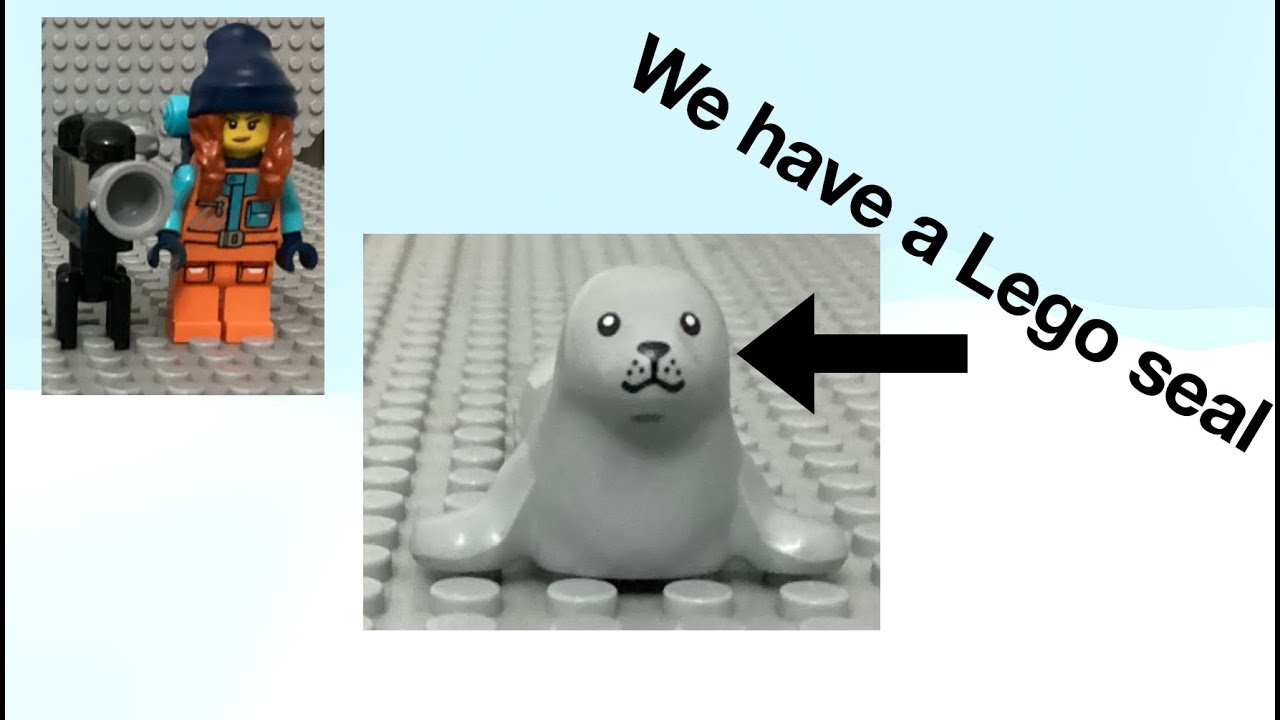 Reviewing the Lego city seal set -build along with Rorsome - YouTube