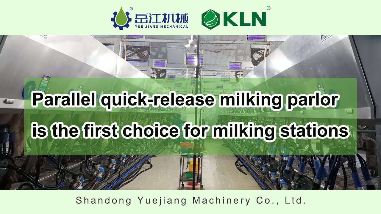 Milking machine|cow milk machine|Cow Mander|cow grouping gate|Parallel ...