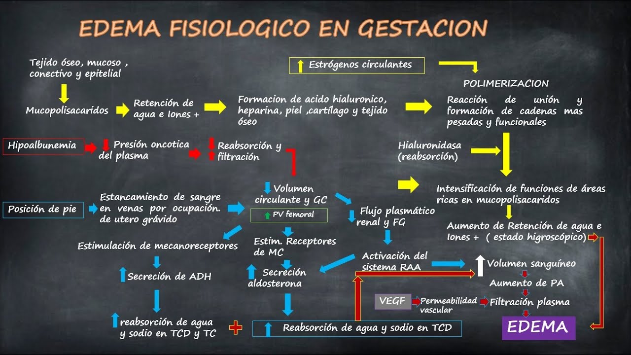 FISIOLOGIA DEL EDEMA EN GESTACION - YouTube
