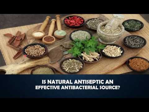 Microbiology- Is natural antiseptic an effective antibacterial source ...