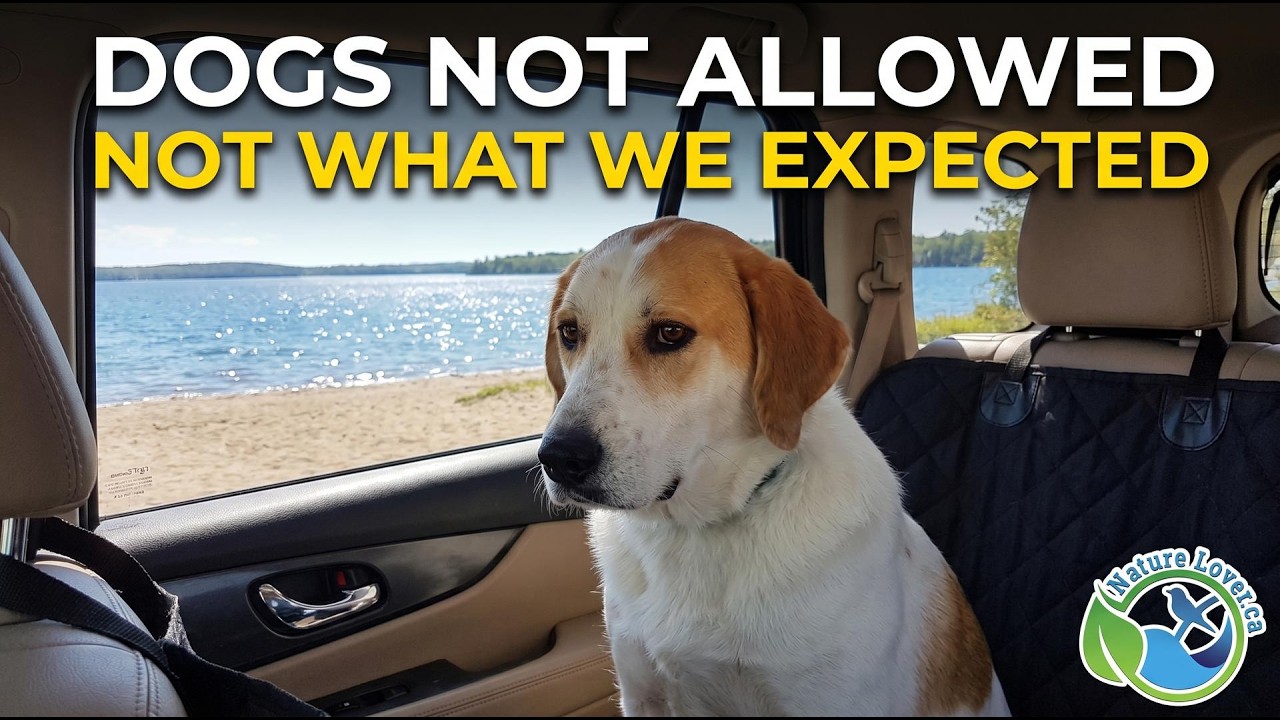 Wakami Lake Provincial Park Day Use Area - 2021 Northern Ontario ...