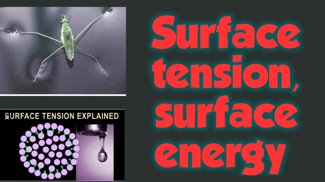 Surface tension, surface energy for iit-jee /neet - YouTube