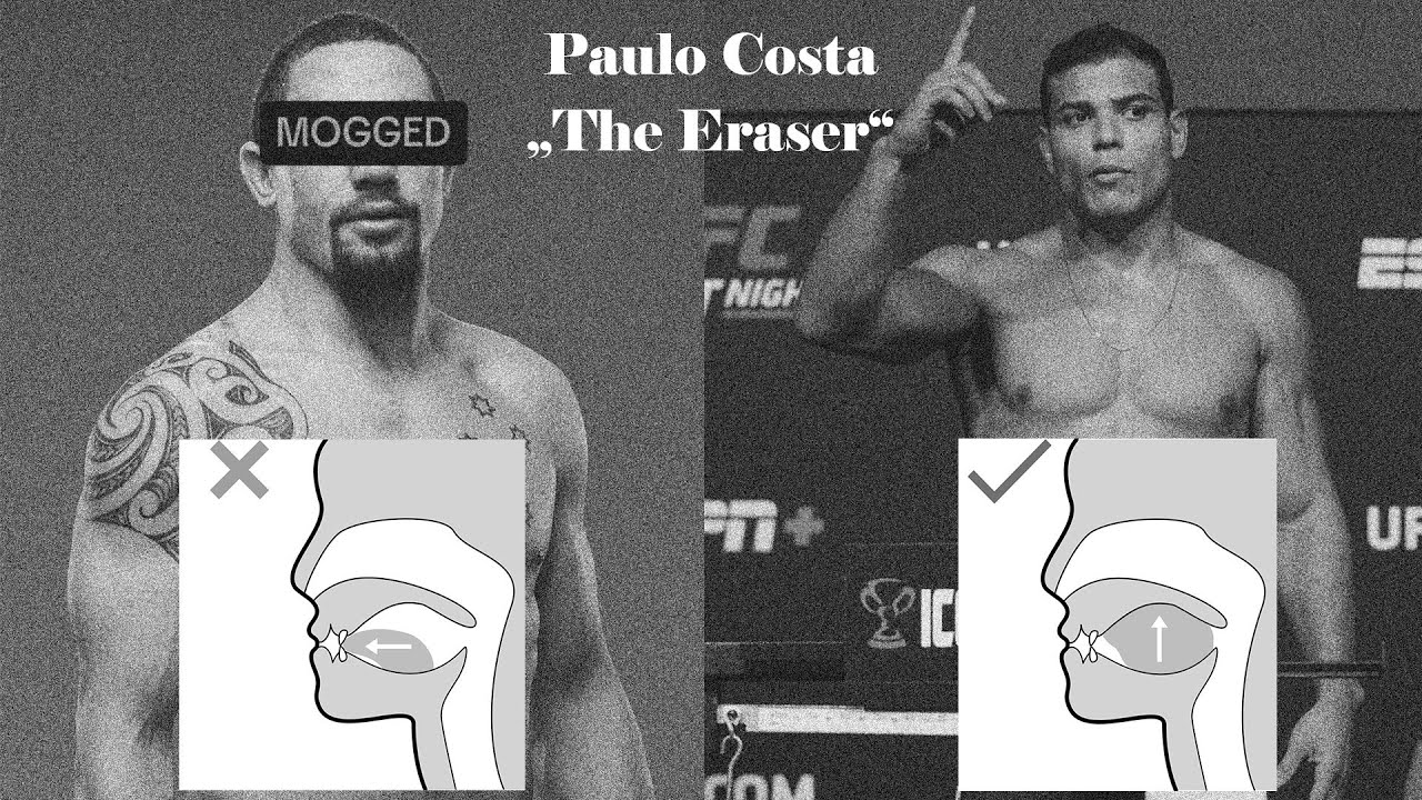 Paulo "The Mogger" Costa | Costa vs. Whittaker Edit | Dota - Basshunter ...