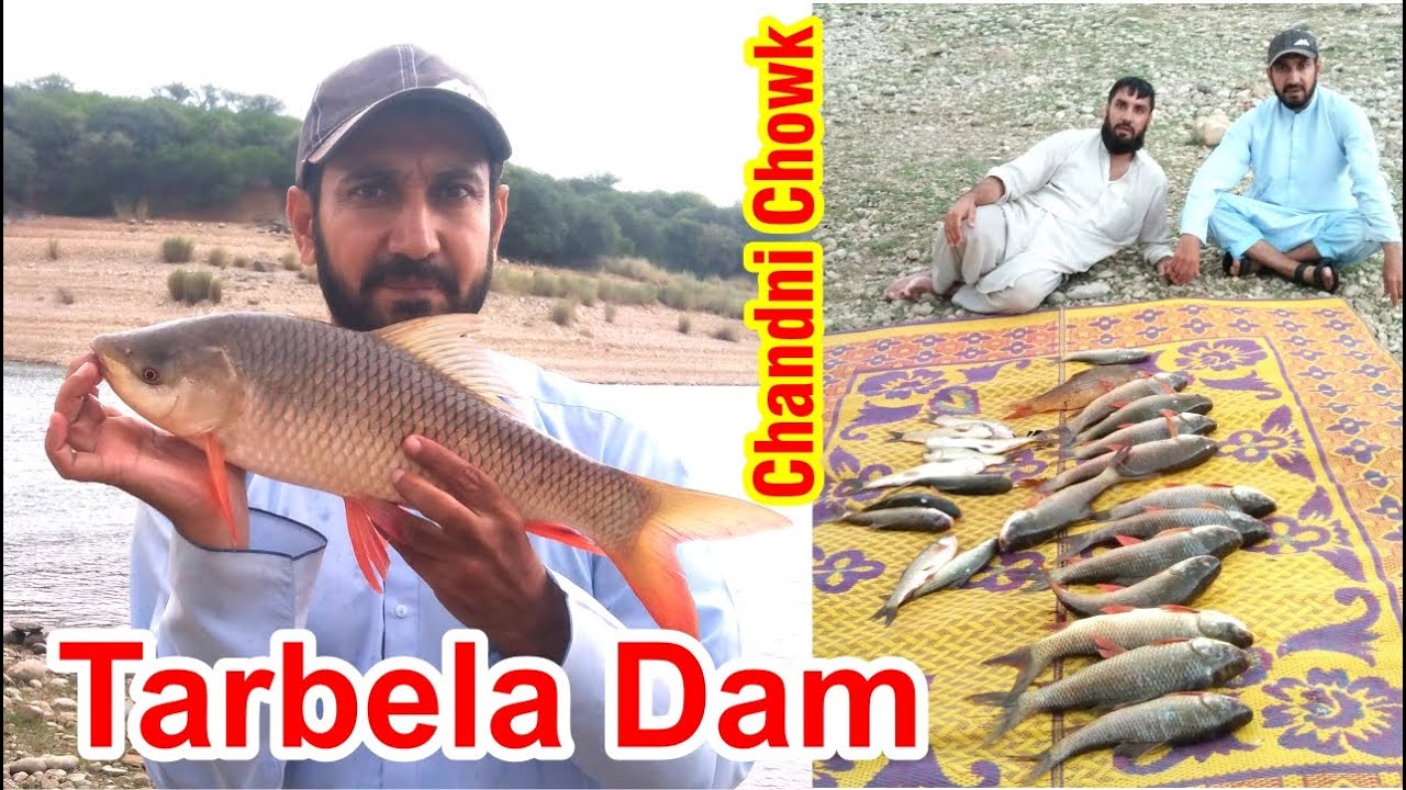 Fishing in Tarbela Dam | Chandni Chowk | kala Rahu | More Video Coming ...
