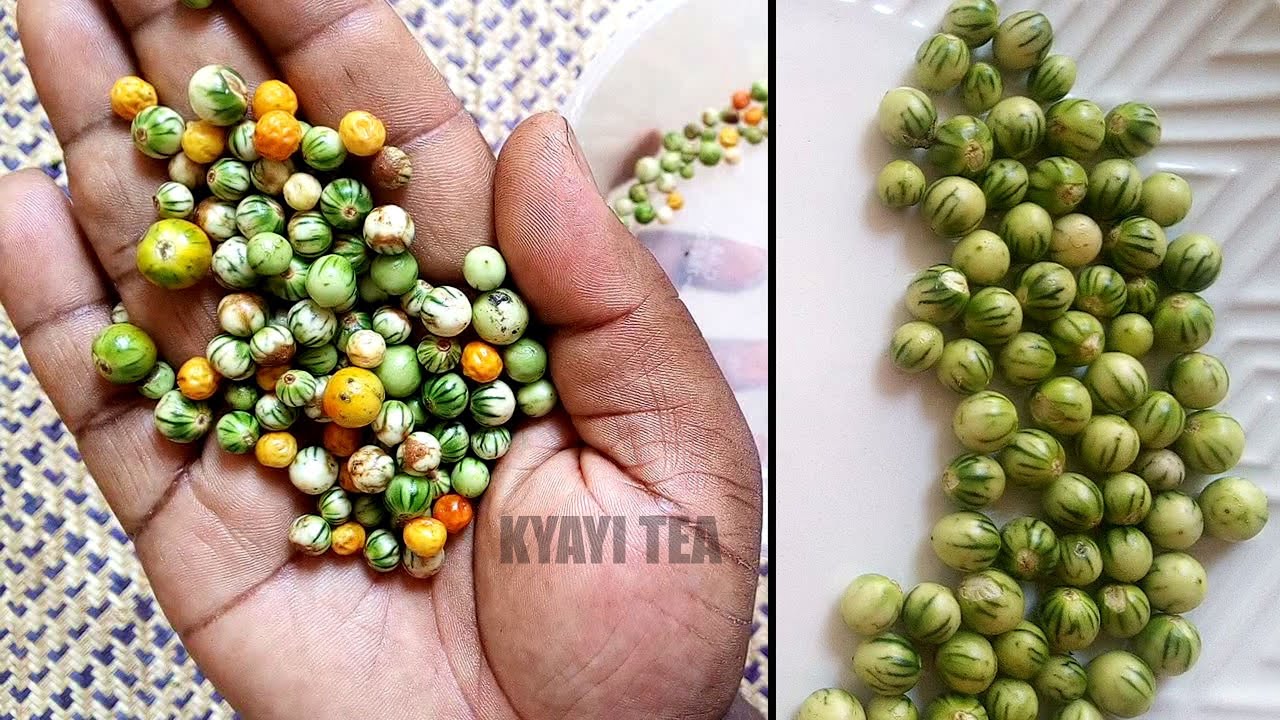 Wejanjabe Okuwunya ne Katunkuma nga Mubisi Ogenda Kutelera Obutula ...