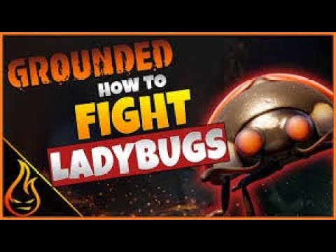 MY FIRST LADYBUG KILL!! solo grounded gameplay. - YouTube