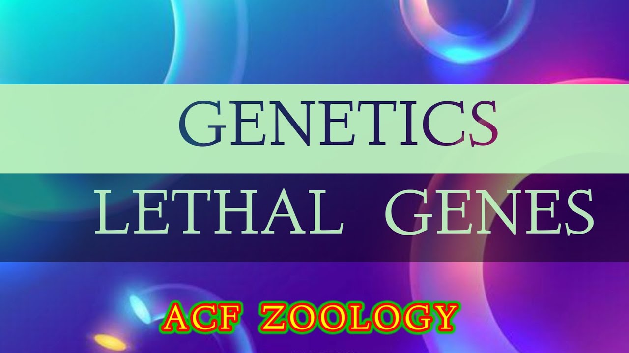 Lethal Genes | Genetic | Acf Zoology | Zoology Classes | MSc Zoology ...