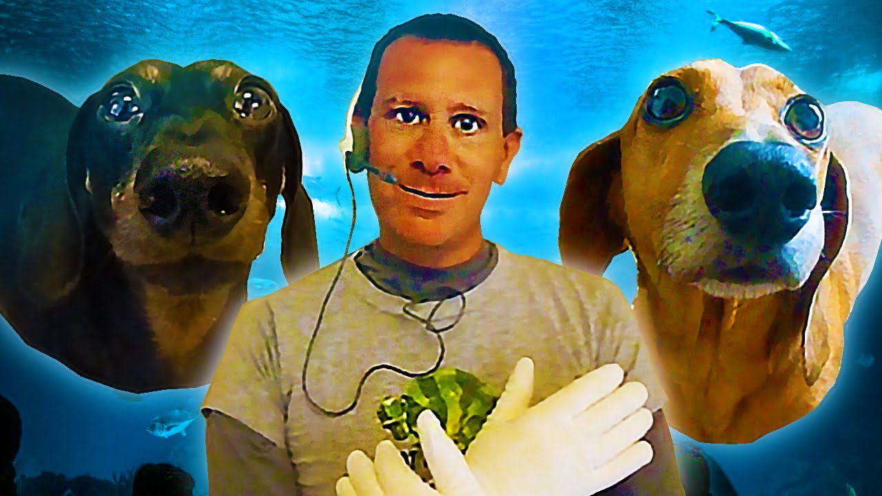 Sea Wieners Live - YouTube