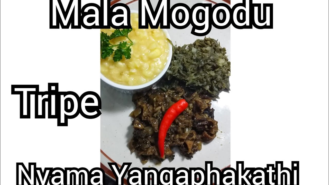 Mala Mogodu|Tripe|Nyama Yangaphakathi|Dinner with Chef Lebo|South ...