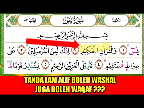 WAQAF MAMNU' DI AKHIR AYAT KE 2 SURAH YASIN - YouTube