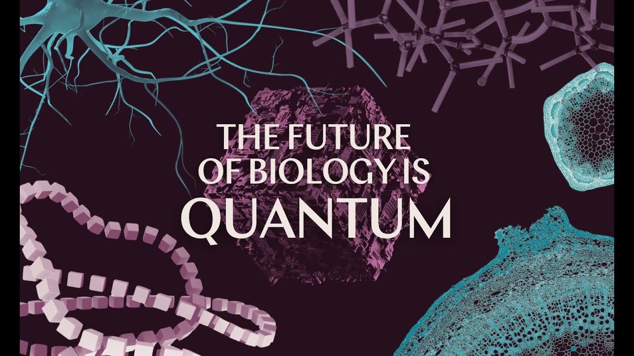 The Future of Quantum Biology: How We're Building a New Scientific ...