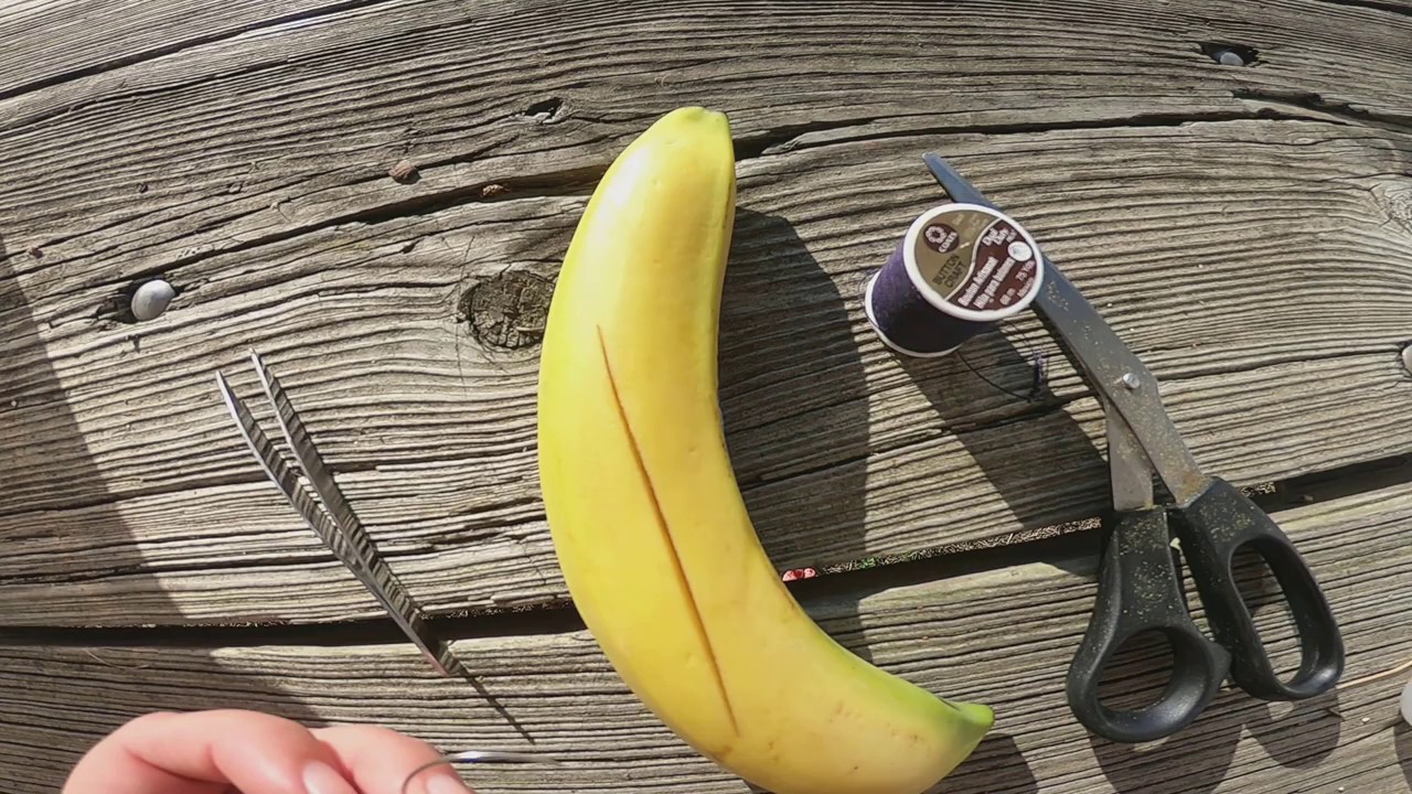 Banana Suturing 101 Final - YouTube