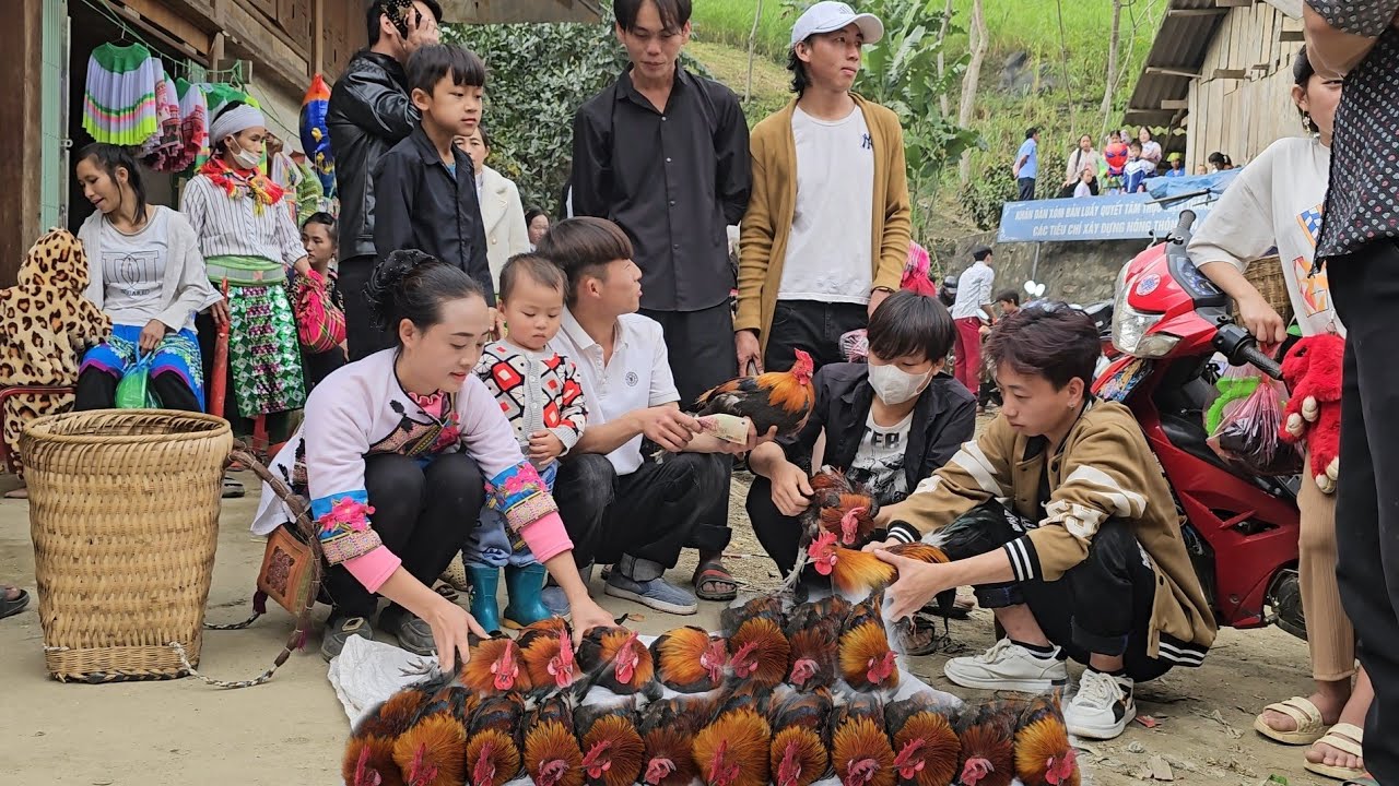 Kind man - helps single mother buy wild chicken at Tet market ...