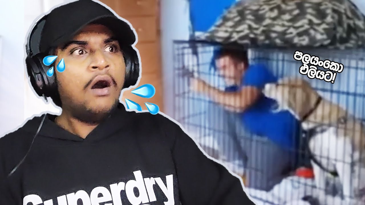 හිනා උනොත් පිපිරෙන Memes !! | Kota Reacts - YouTube