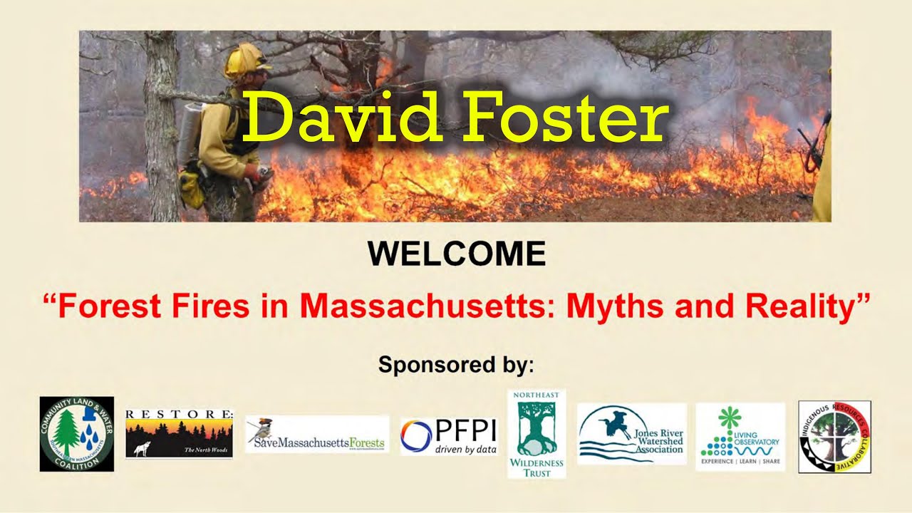 Oct. 4, 2025: Forest Fires: David Foster Presentation - YouTube
