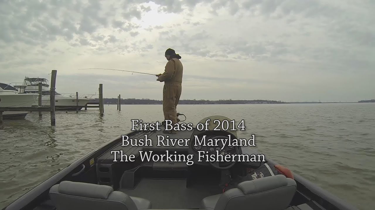 First Bass of 2014 - Bush River Maryland - YouTube