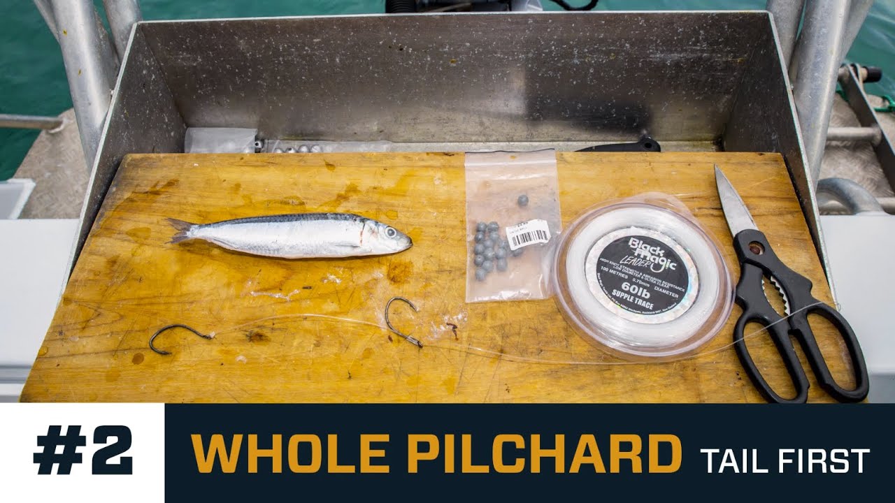 NZFW Best Bait Series - Whole Pilchard Tail First - YouTube