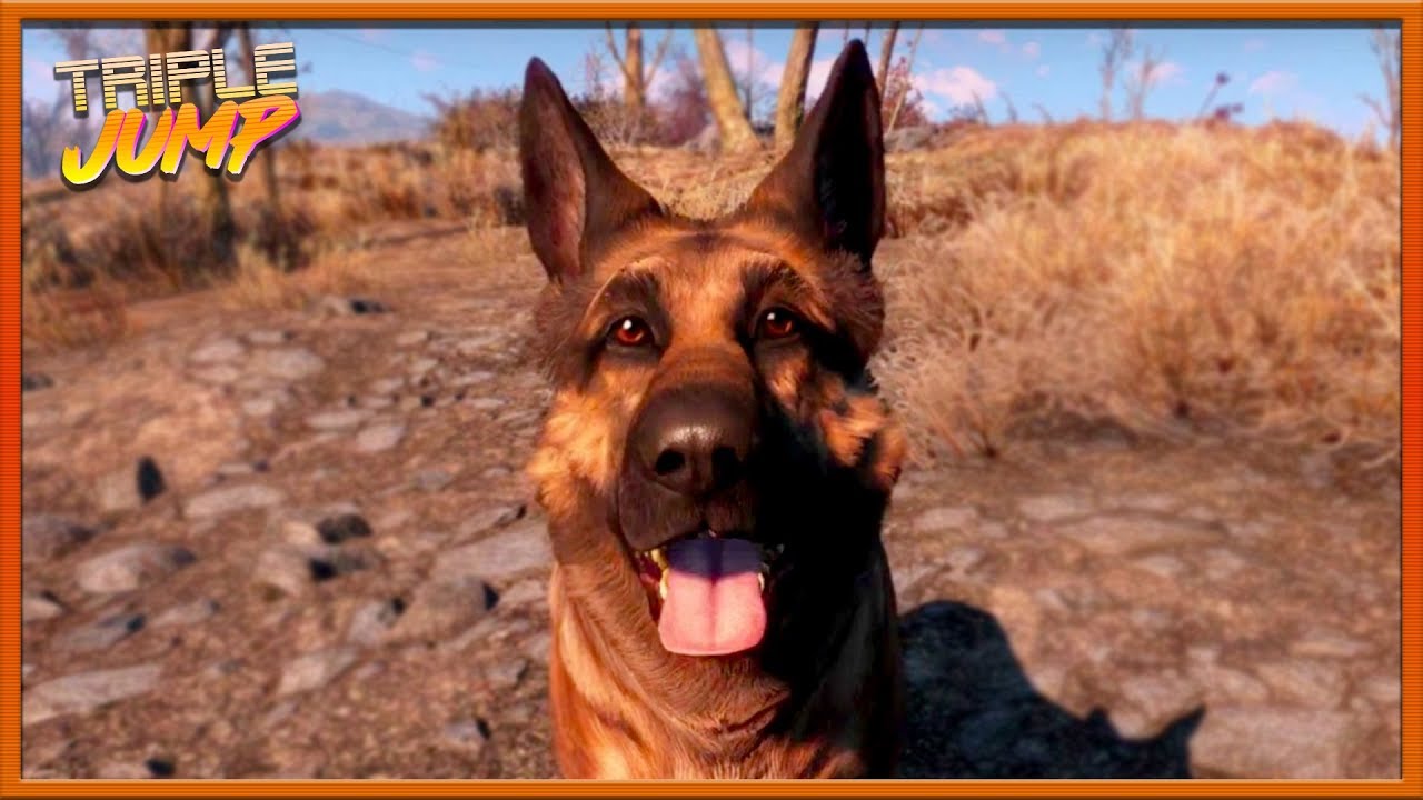 10 Best Video Game Companions - YouTube