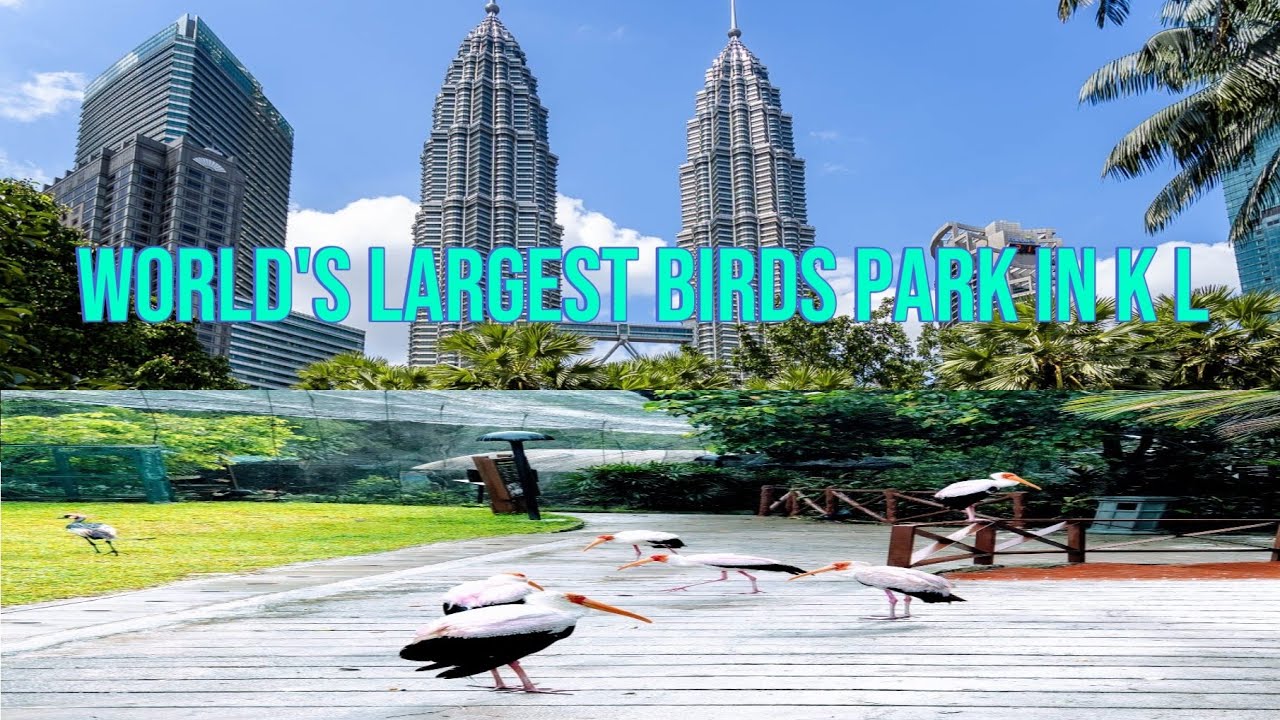 World's largest birds park in Malaysia. - YouTube