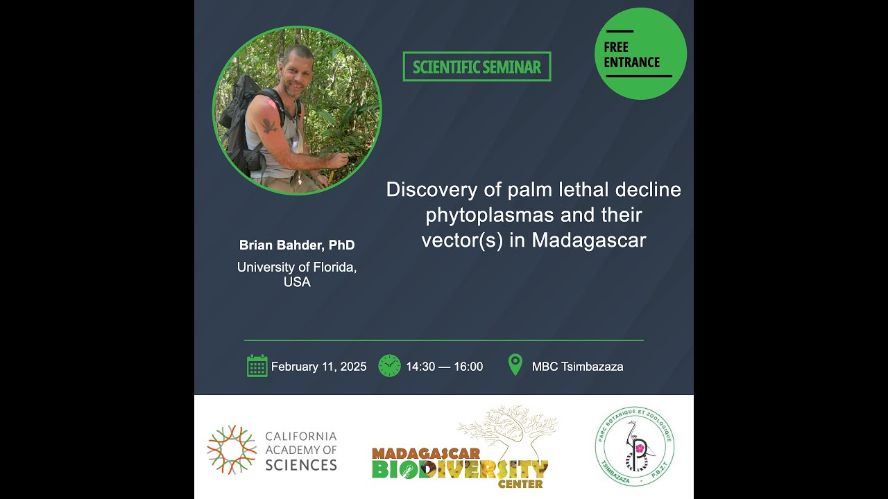 Brian Bahder: Discovery of palm lethal decline phytoplasmas and their ...